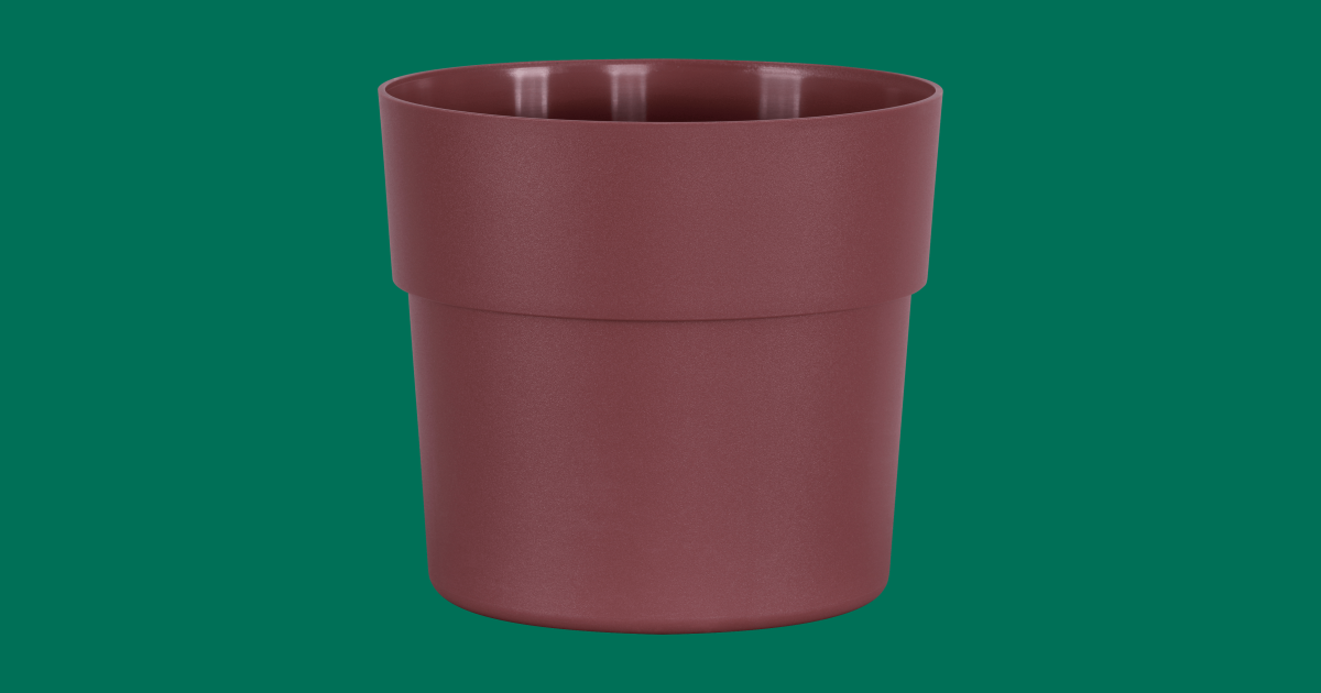 Liv • Geli - Goods for green